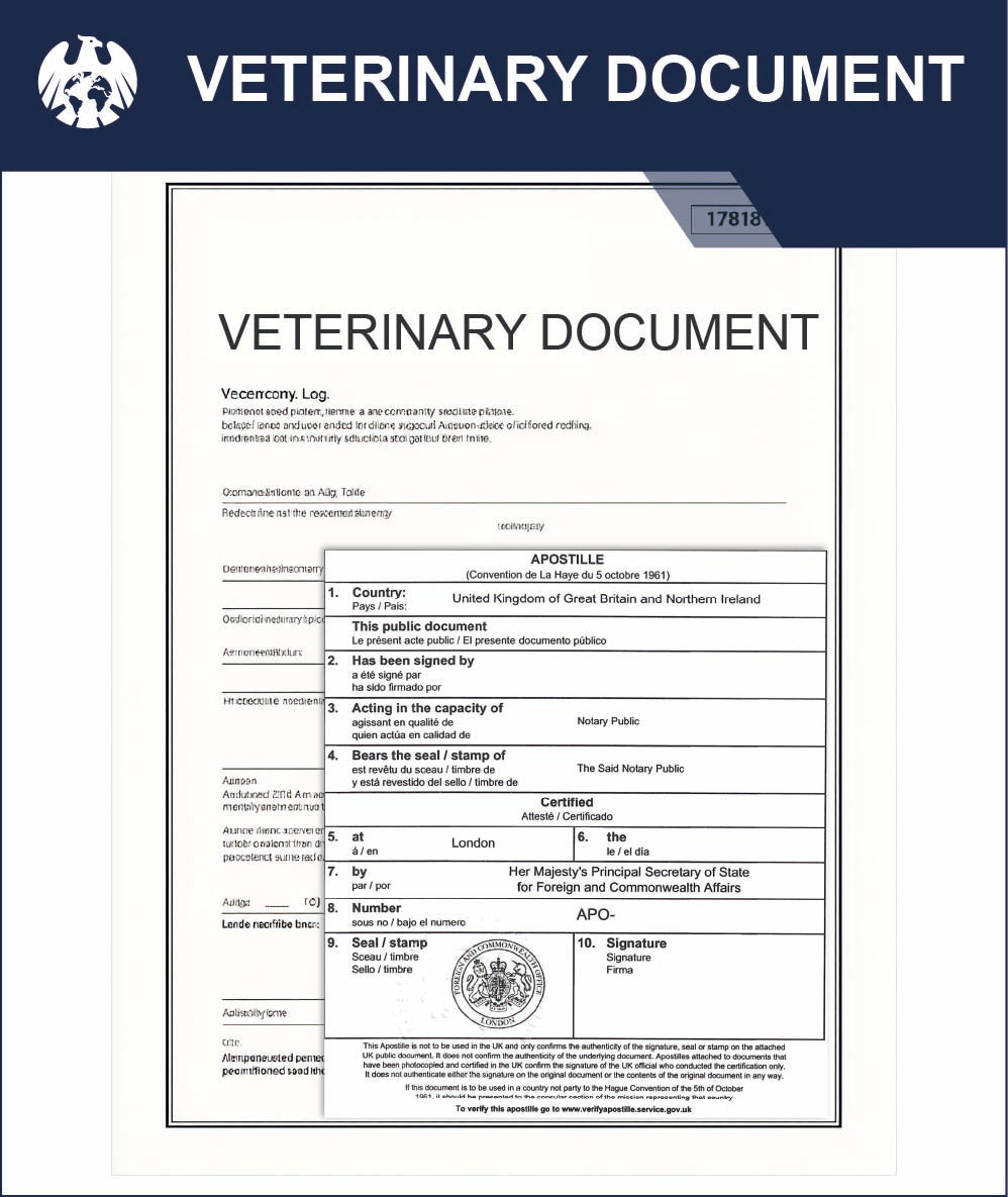 Veterinary Document Apostille | UK Pet & Animal Legalisation – 12 Apostille